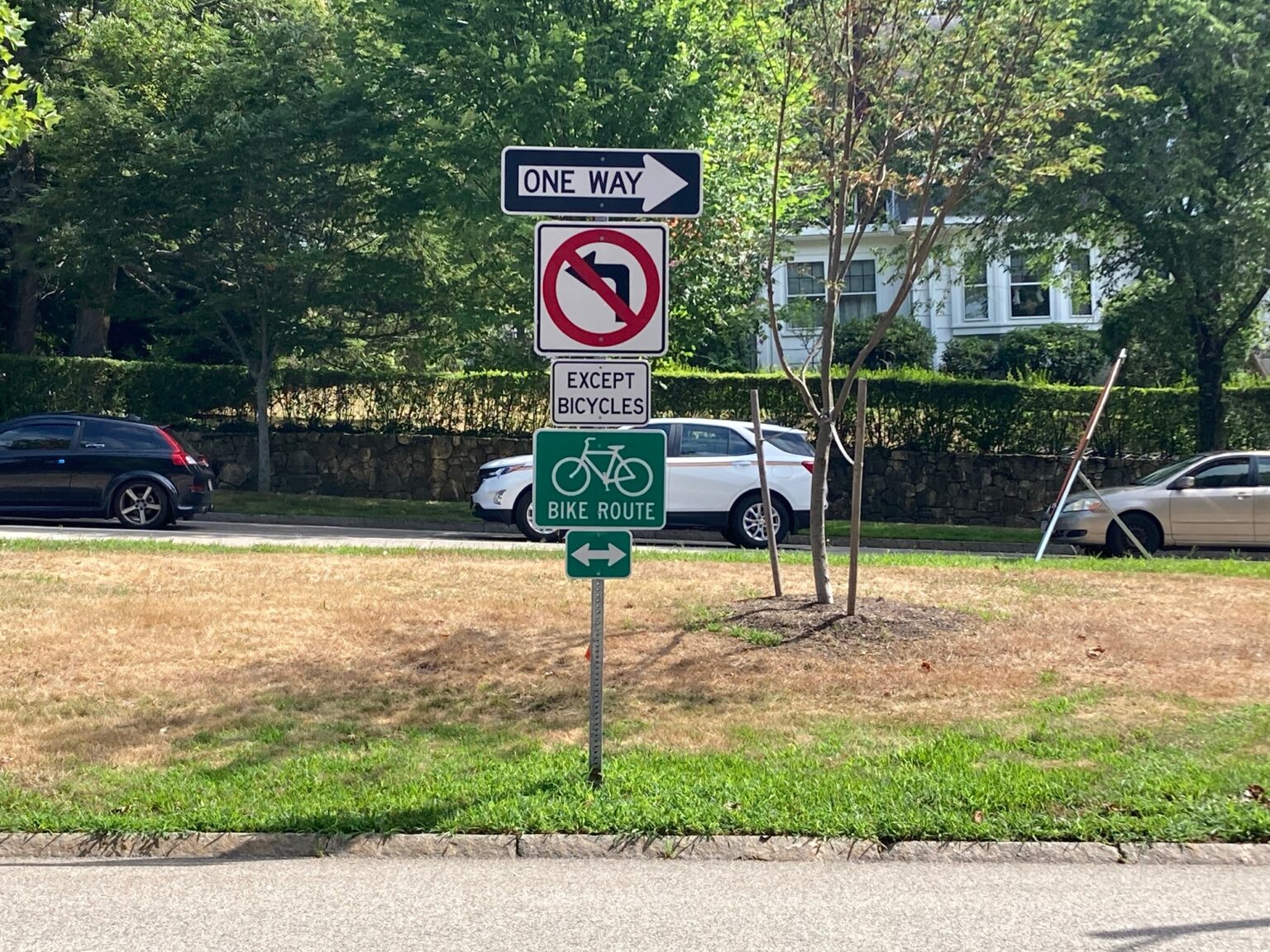Bicycle/Pedestrian Priority Roadway Designation for the Carriage Lane ...